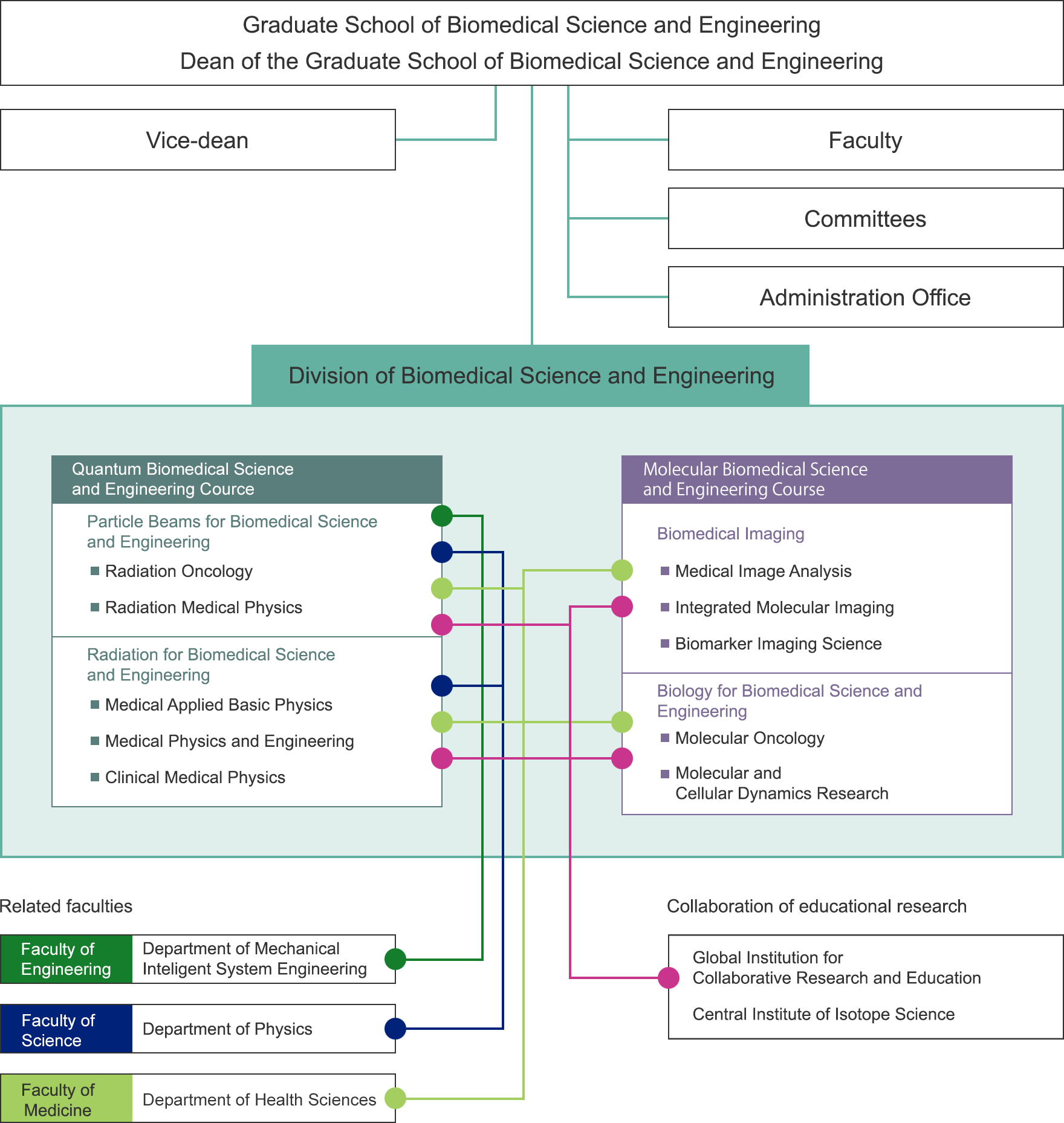 Organization Chart ｜ School of Medicine / Graduate School of Medicine ...