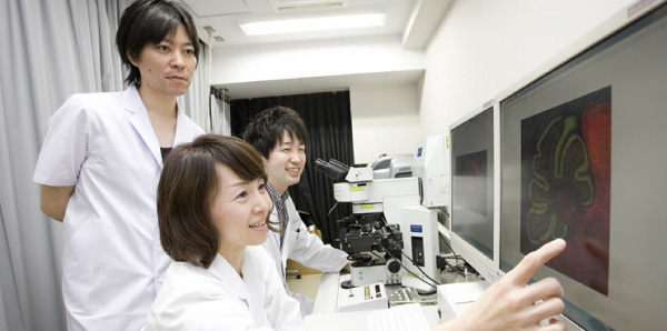 Faculty of Medicine ｜ School of Medicine / Graduate School of Medicine ...